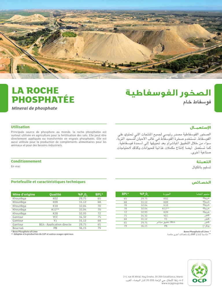 Guide Produits Ocp | PDF