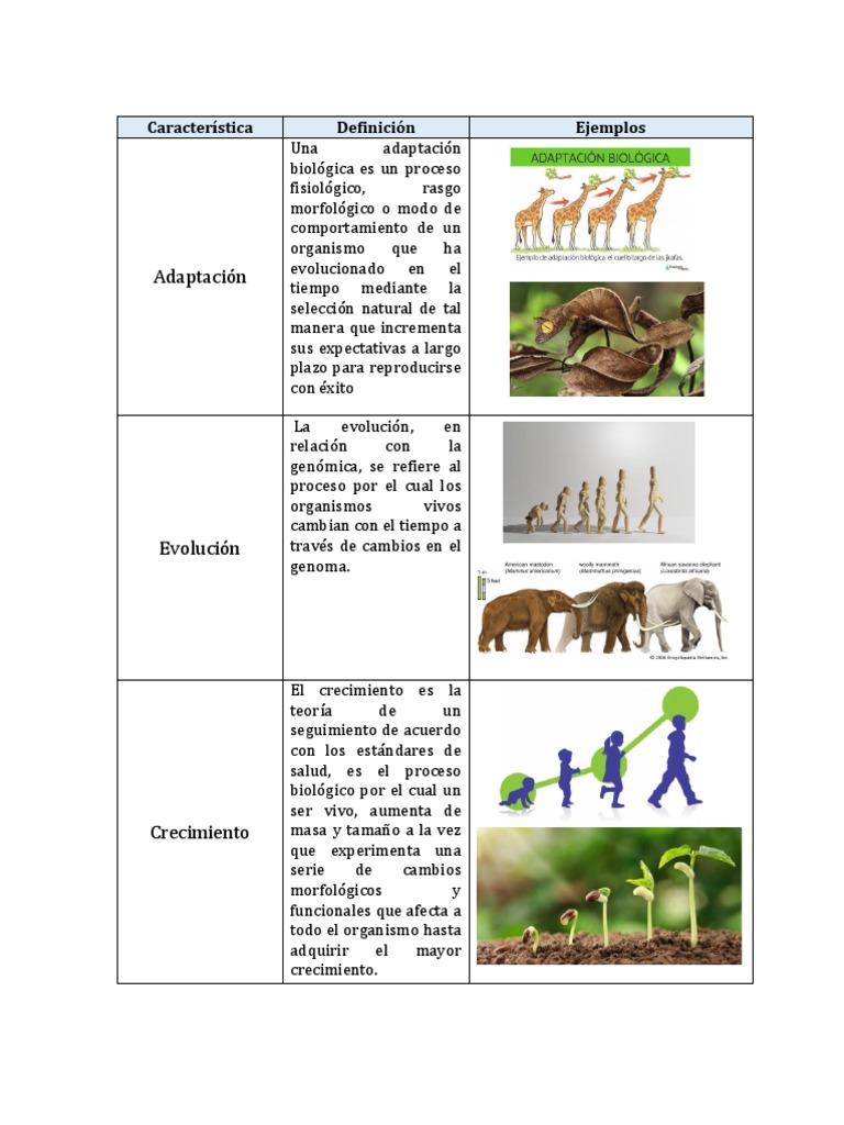 Cuadro Resumen Características de Los Seres Vivos | PDF | Biología ...