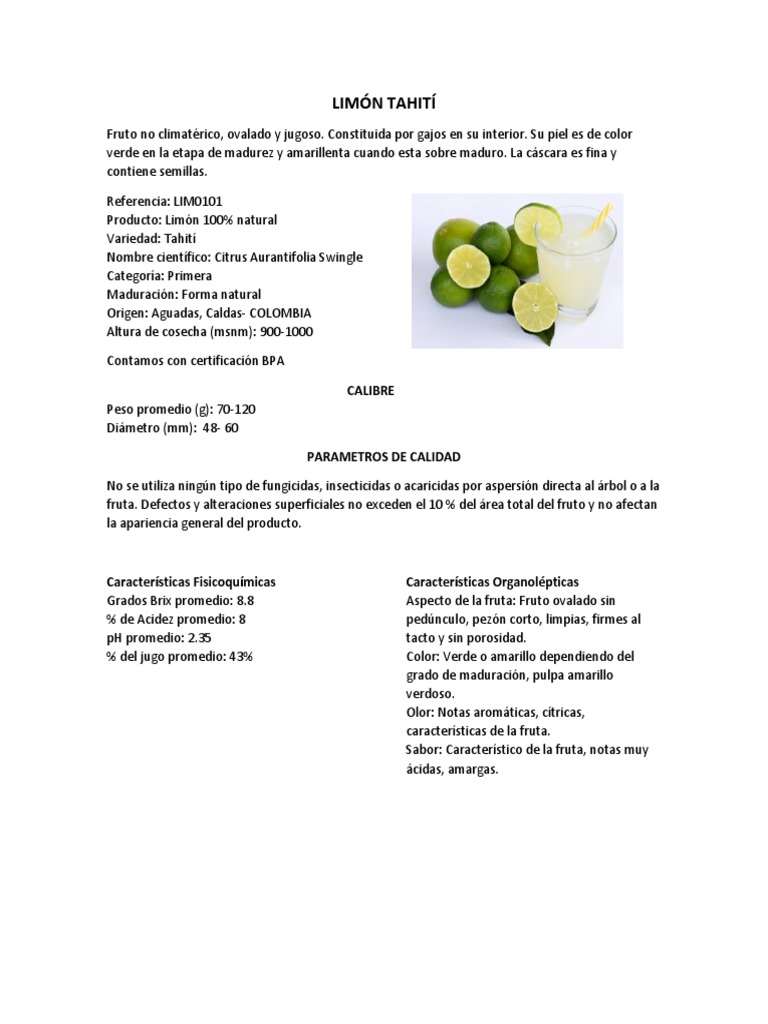 Ficha Tecnica Limon Tahiti Primera Orofrut 1 | PDF