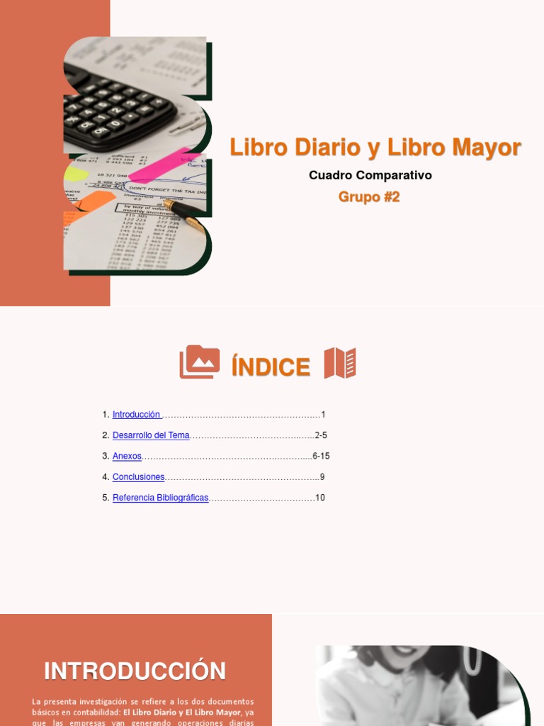 Libro Diario y Libro Mayor-Grupo | PDF | Contabilidad | Business