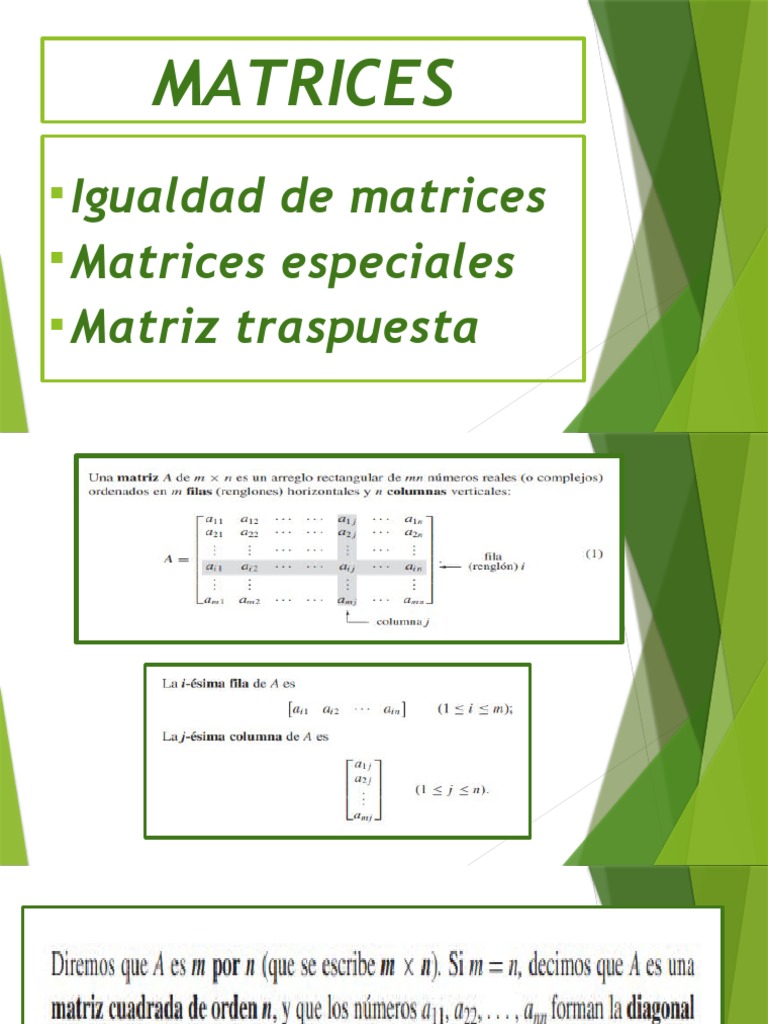 Presentacion - Matrices y Matriz Traspuesta | PDF