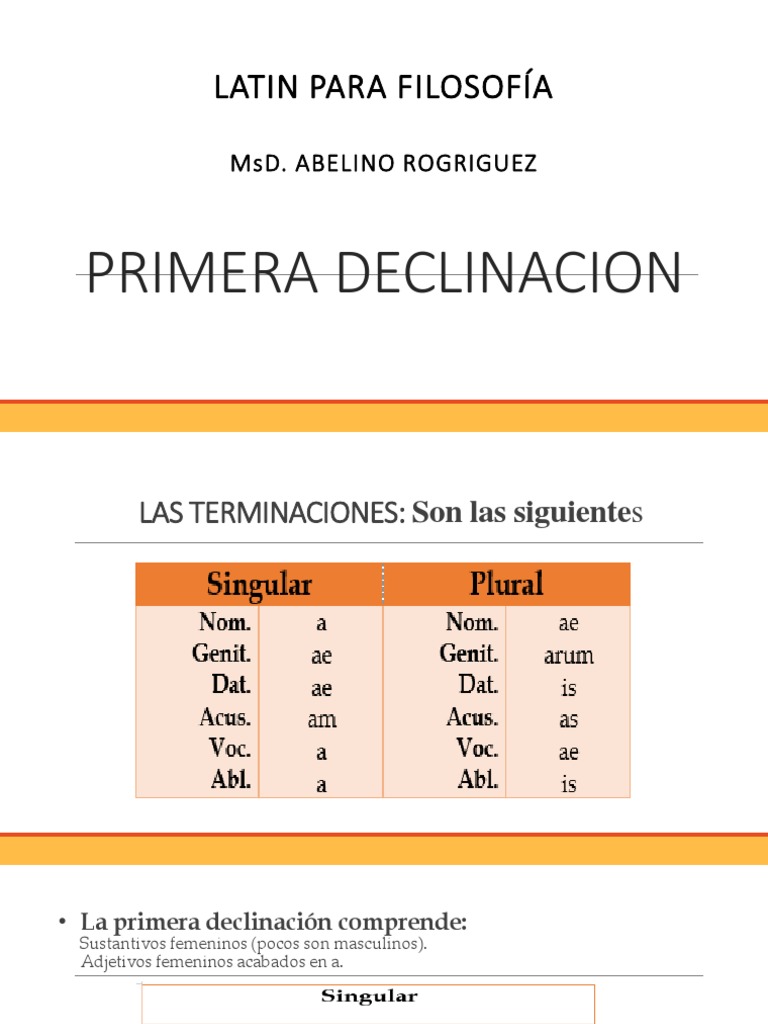 Primera Declinación en Latín | PDF