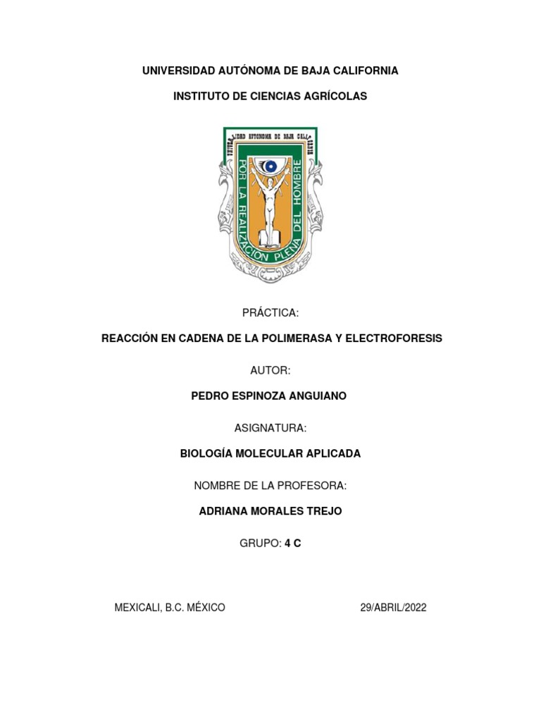 Practica de PCR. Biologia Molecular Aplicada | PDF | Reacción en cadena ...