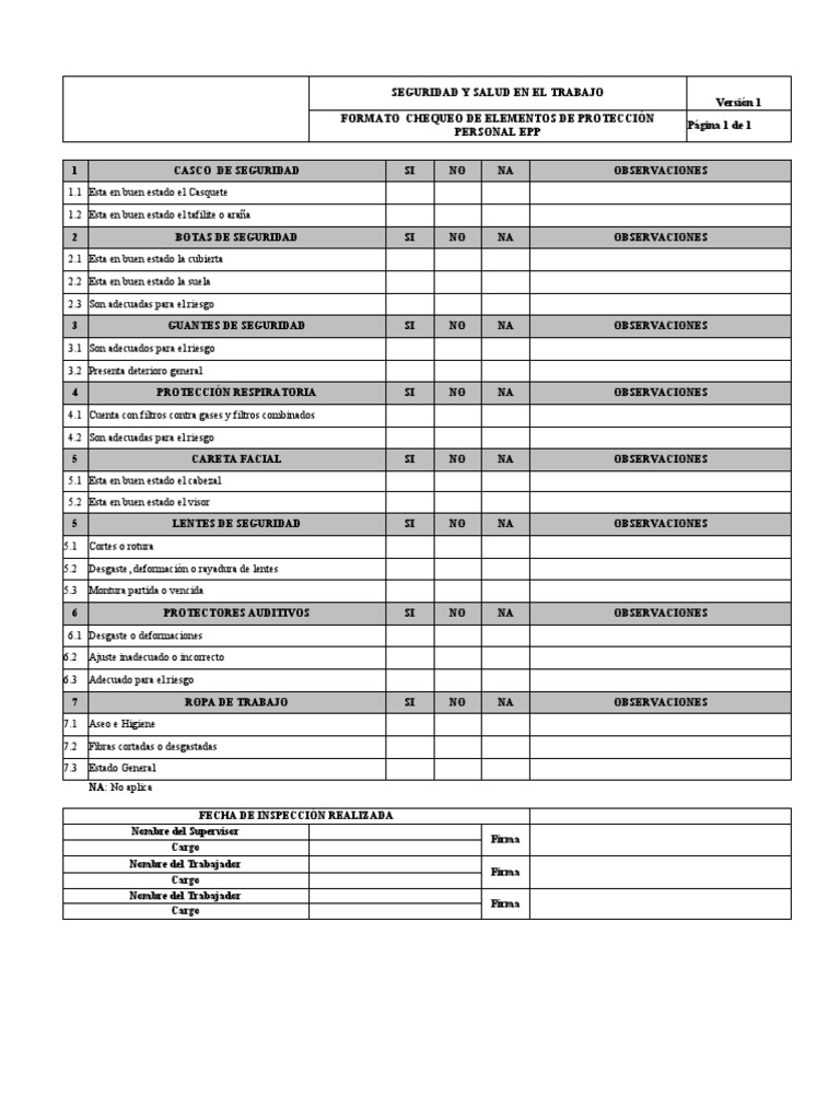 Formato de Evaluacion Elementos de Proteccion | PDF