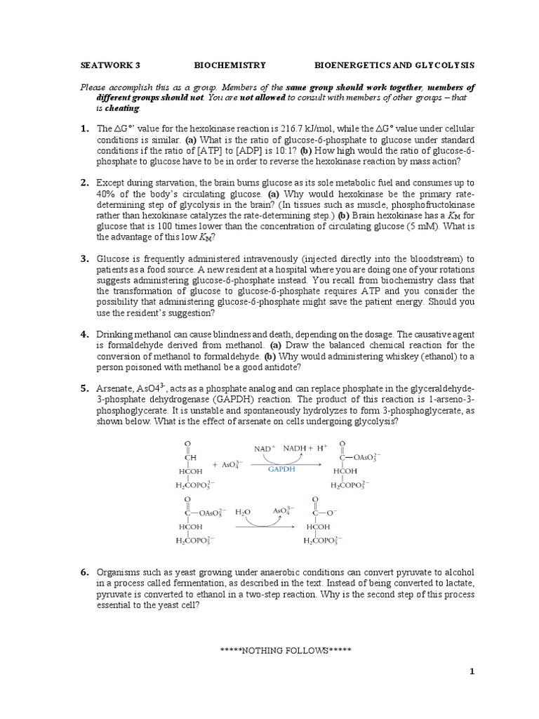 Seatwork 3 | PDF | Glycolysis | Glucose