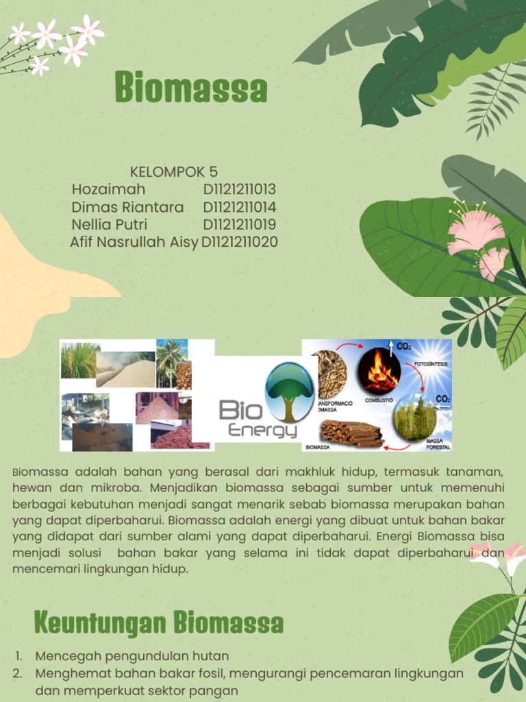 Biomassa | PDF