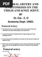 Trochanteric and Cruciate Anastomoses | PDF | Cardiovascular System ...