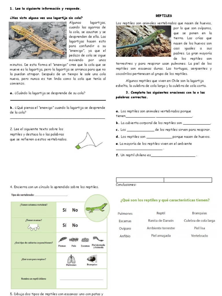 Guia Reptiles | PDF | Reptil | Serpiente