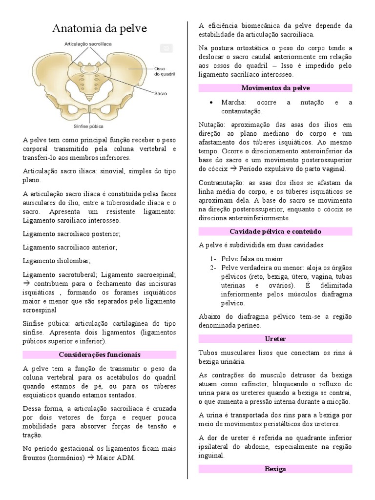 Anatomia Da Pelve | PDF | Pélvis | Vagina