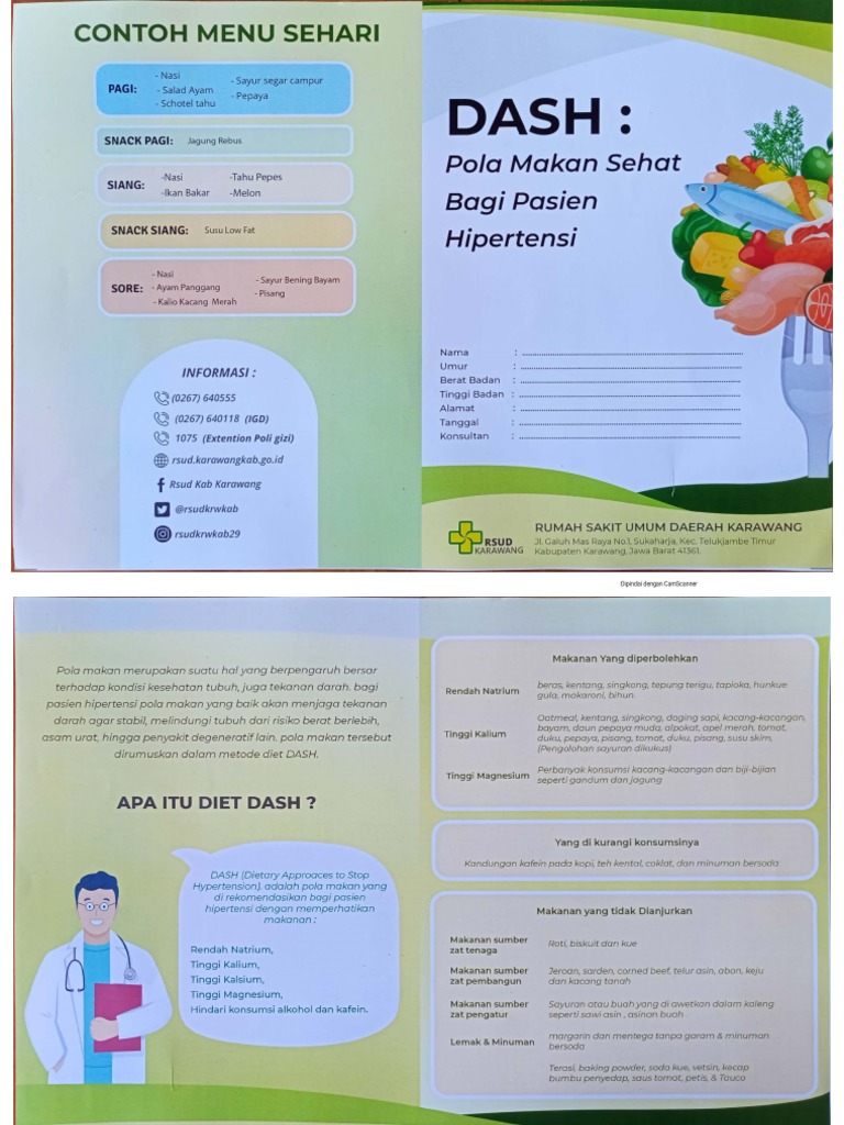 Leaflet Hipertensi Dash | PDF
