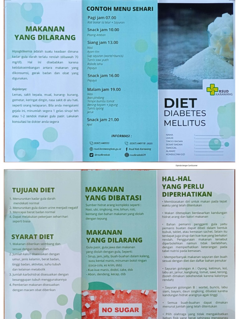 Leaflet Diet DM | PDF