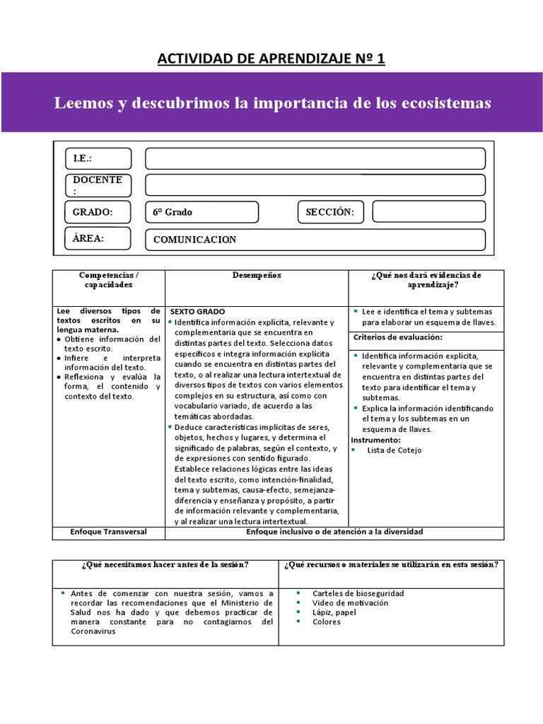 Exp9 - S9 - Com 6° - Actividad | PDF