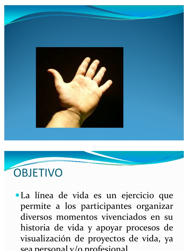 Linea de Vida | PDF