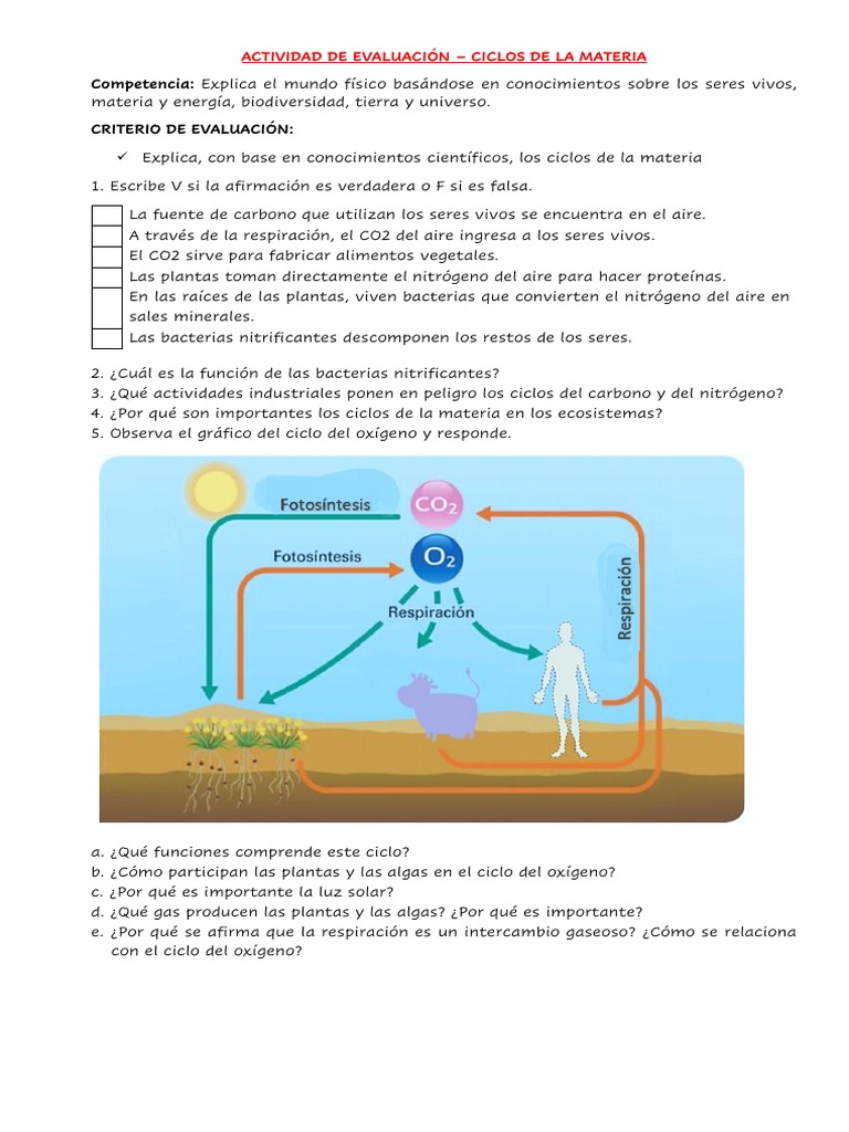 Ciclos de La Materia | PDF