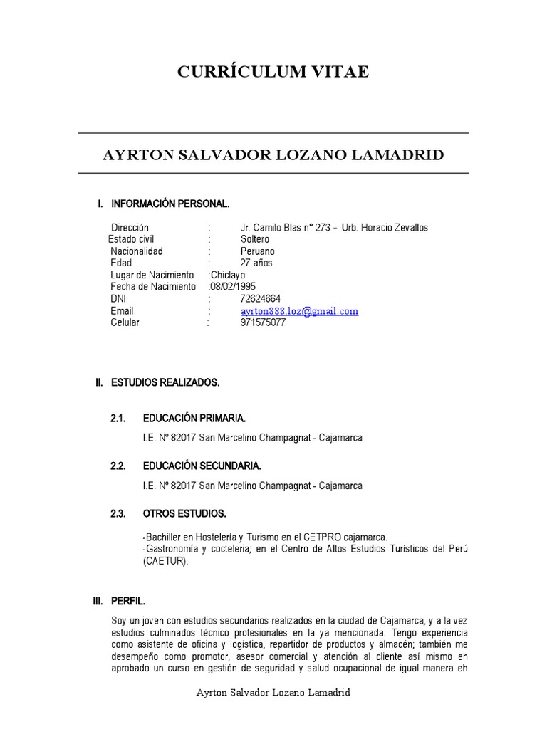 CV - Ayrton Lozano | PDF | Industrias de servicio