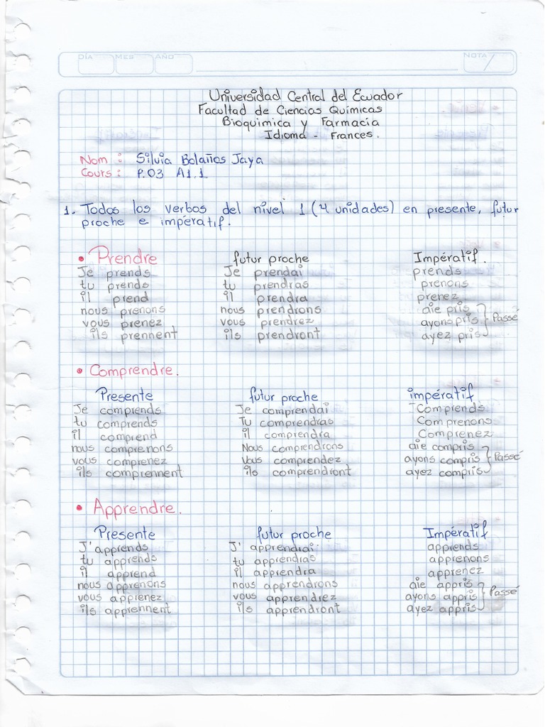 Verbos Del Nivel 1 Pdf