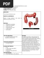 Colectomia y Reseccion Intestinal | PDF