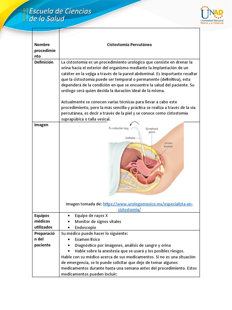 Cistostomía Percutánea: Procedimiento y Cuidados | PDF | Vejiga ...