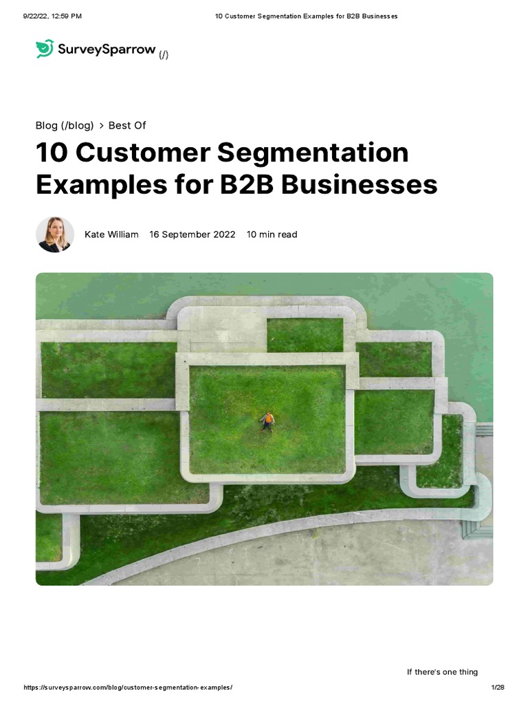10 Customer Segmentation Examples For B2B Businesses | PDF | Market ...