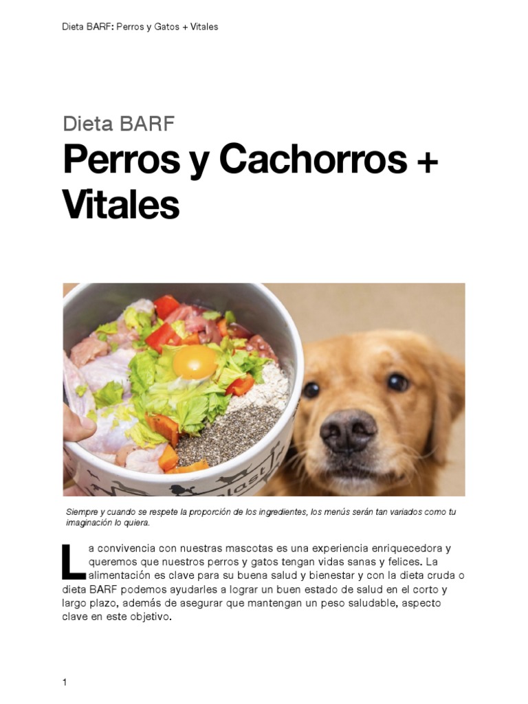 Dieta BARF: Guía Completa para Mascotas | PDF | Carne | Menudencias