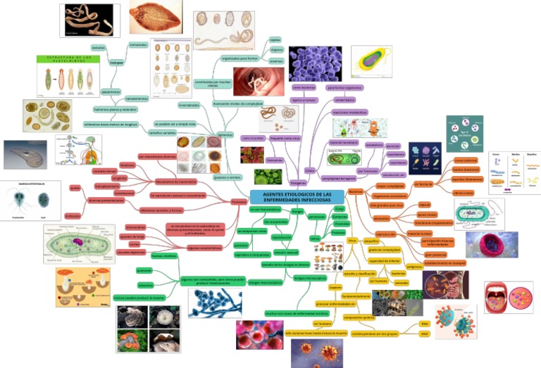 Agentes Etiologicos de Las Enfermedades Infecciosas | PDF