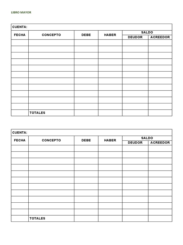 Libro Mayor Plantilla | PDF
