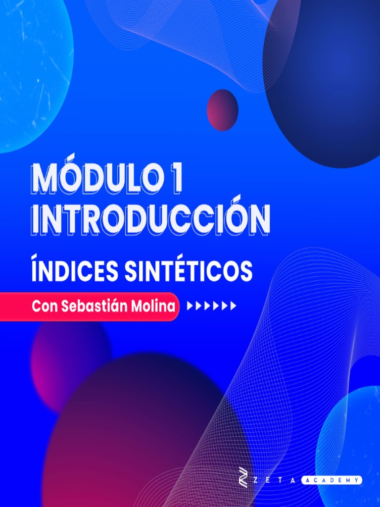 IS - Modulo 1 - Introduccion Por Sebastian Molina | PDF