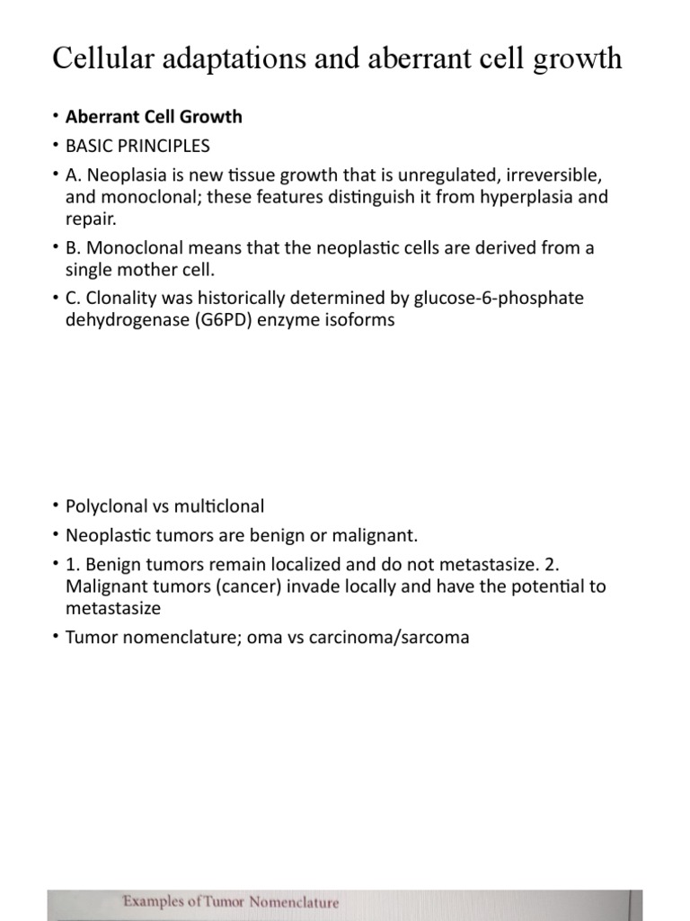 Cellular Adaptations and Aberrant Cell Growth | PDF