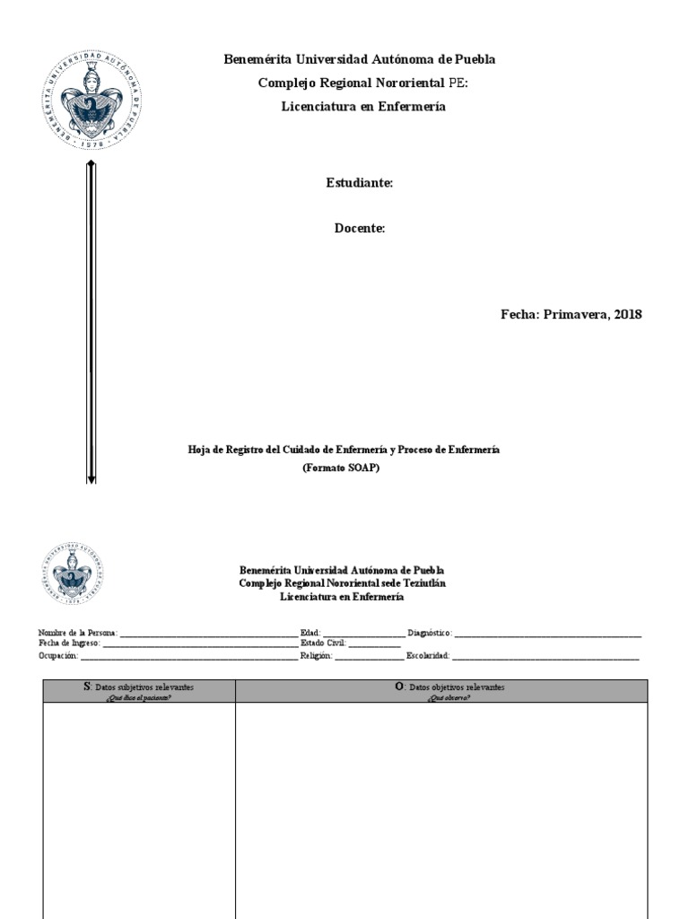 Formato-para-SOAP (1) - 1 | PDF | Enfermería | Medicina