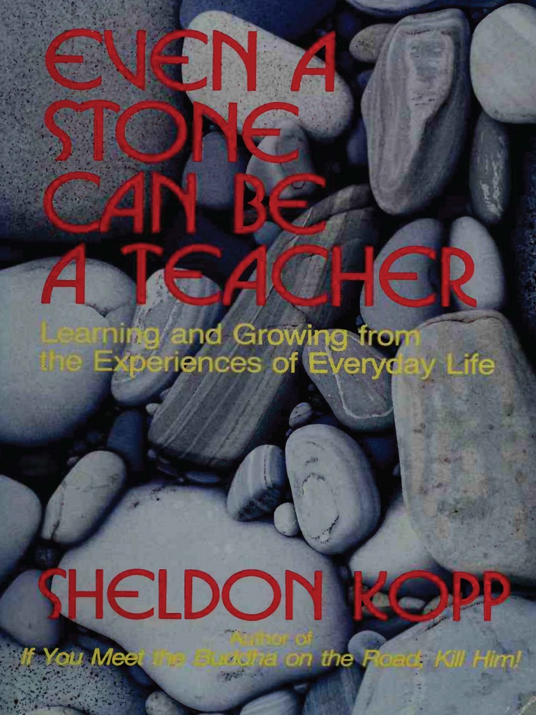 Even A Stone Can Be A Teacher Learning and Growing From The Experiences ...