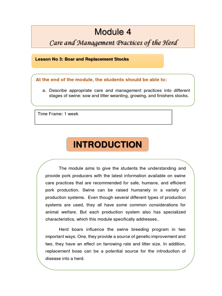 Module 4 Lesson 3 | PDF