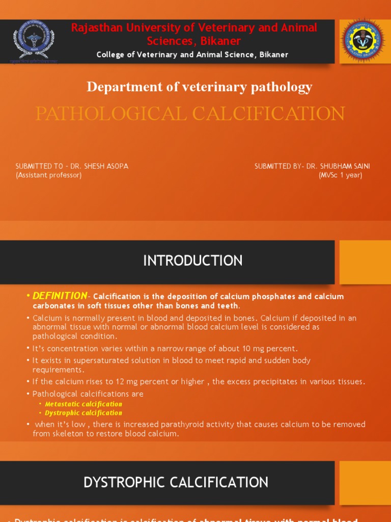 Pathological Calcification | PDF Pathological Calcification | PDF
