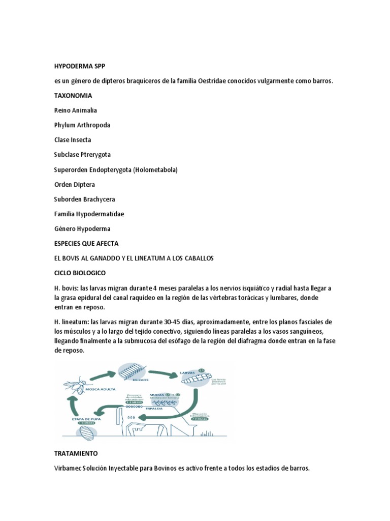 Hypoderma SPP | PDF | Mosca | Insectos