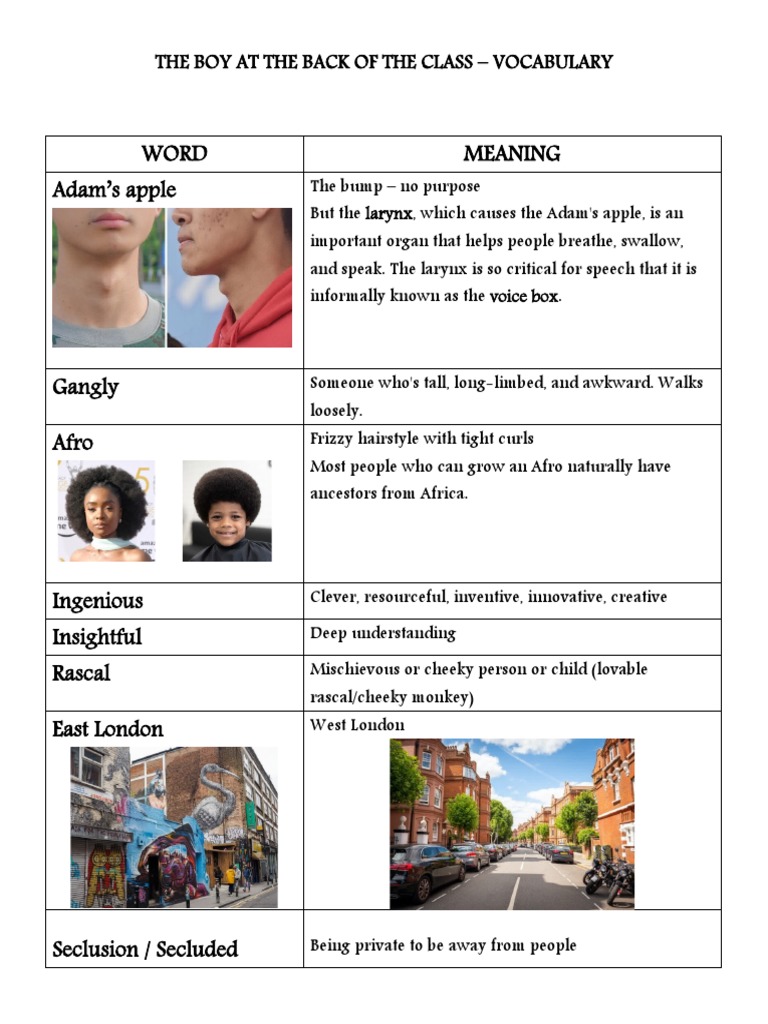 The Boy at The Back of The Class - Vocabulary | PDF