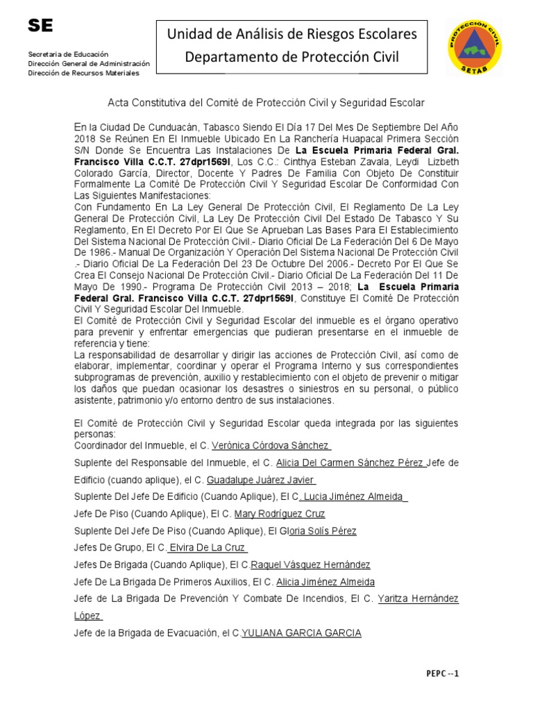 Formato PEPC-1 ACTA CONSTITUTIVA | PDF | Defensa Civil | Educación primaria