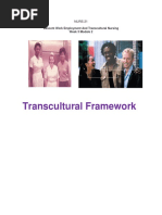 Giger and Davidhizar Model Overview | PDF | Nursing | Social Psychology