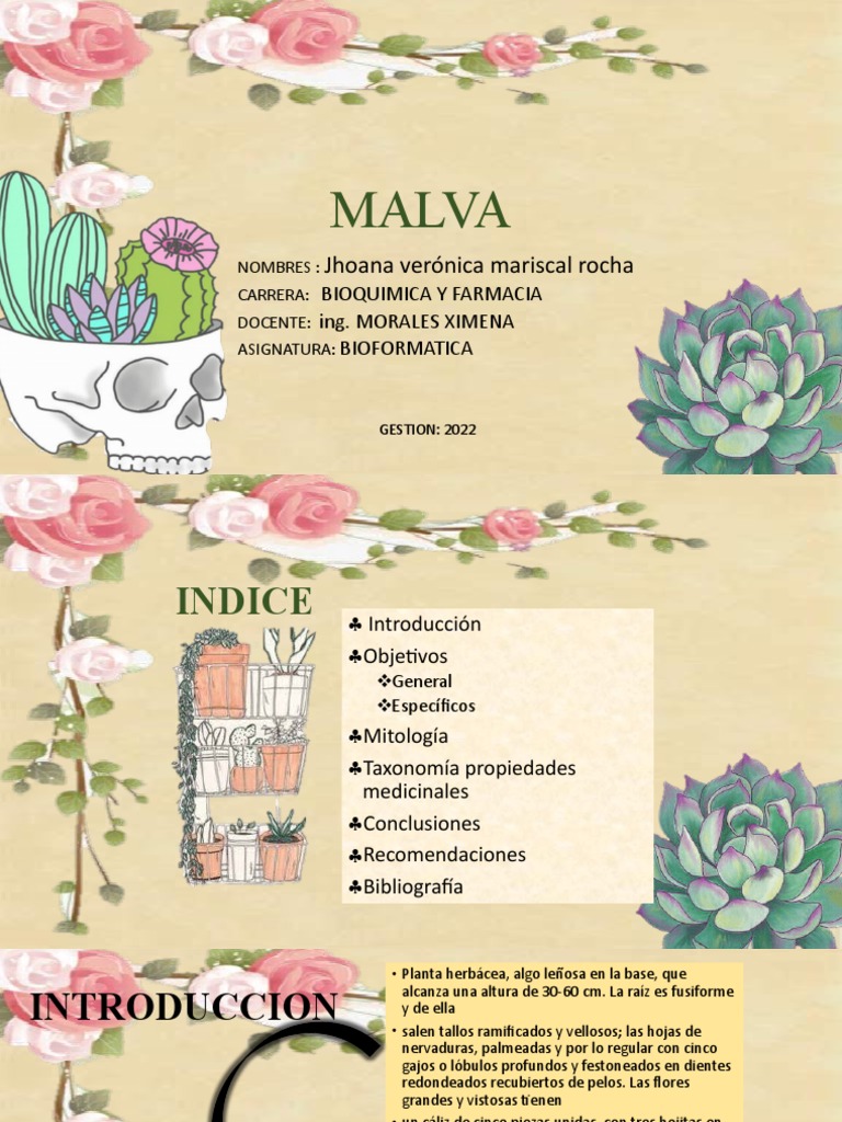 Bioformatica | PDF | Plantas