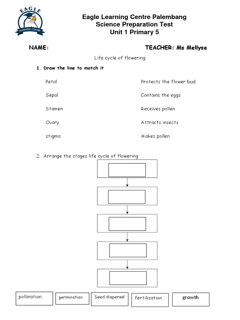 Science Preparation Test | PDF