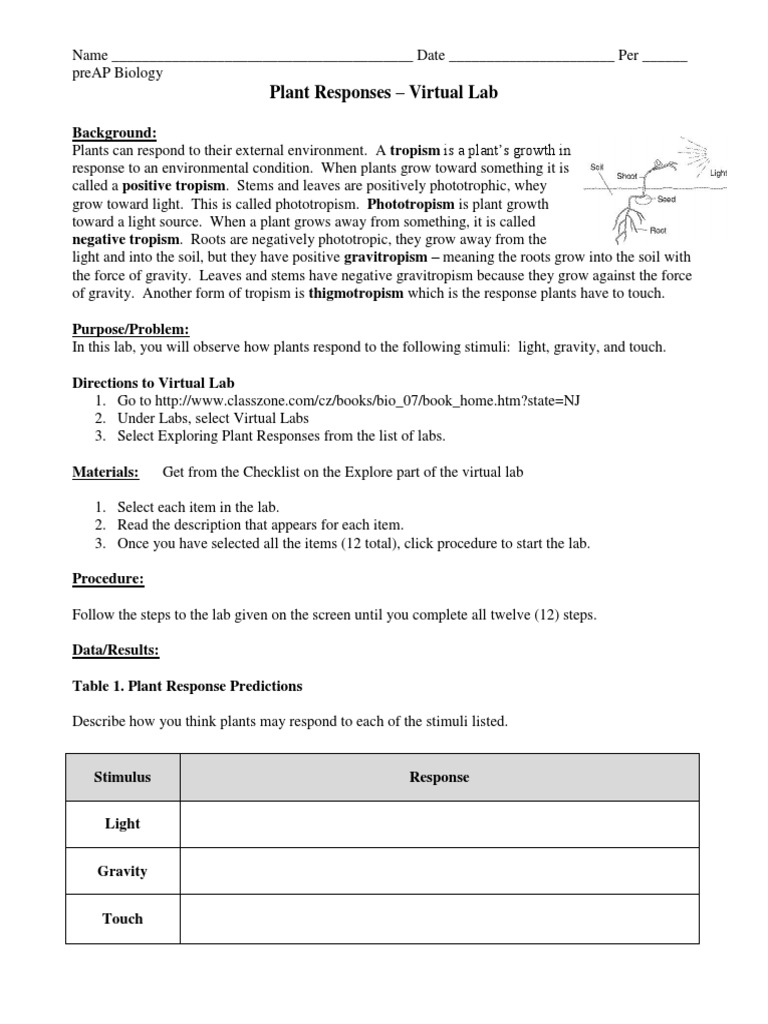 Plant Adaptation Responses Virtual Lab | PDF