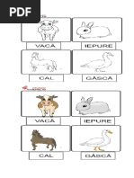 Harta Textului | PDF