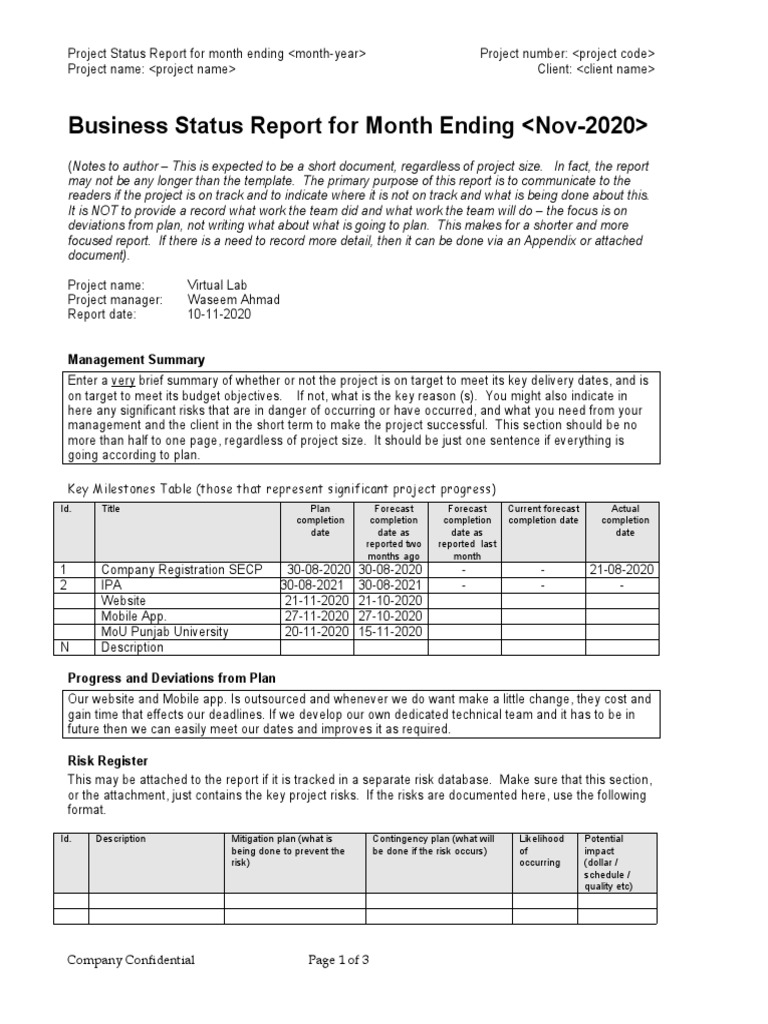 Monthly Report | PDF