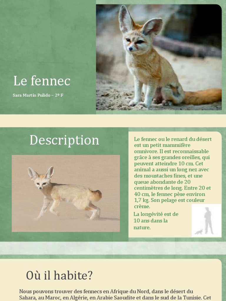 Alimentation et reproduction du fennec | PDF | Maison et jardin