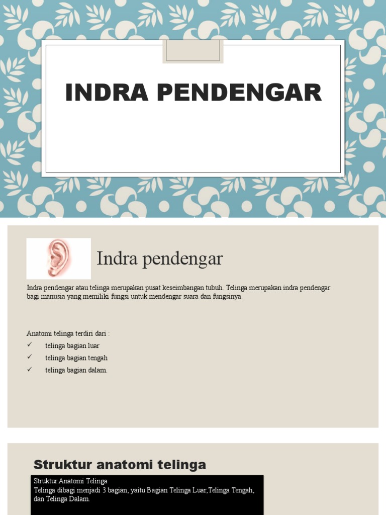 Indra Pendengaran (Telinga) | PDF | Kesehatan Holistik