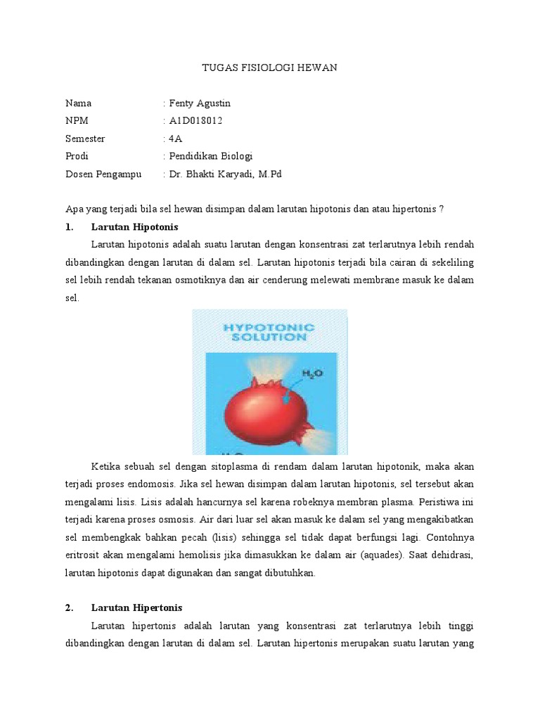 Dampak Larutan Hipotonis dan Hipertonis pada Sel Hewan | PDF | Sains ...