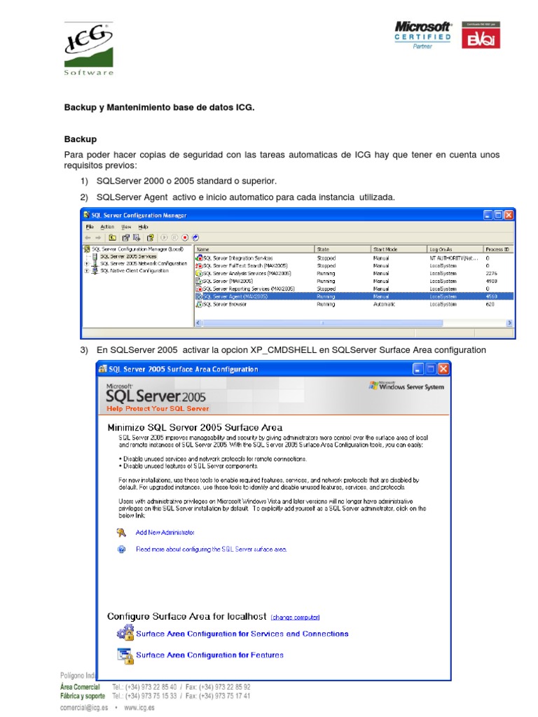SW - Backup y Mantenimiento ICG v2 | PDF | Servidor SQL de Microsoft | Apoyo