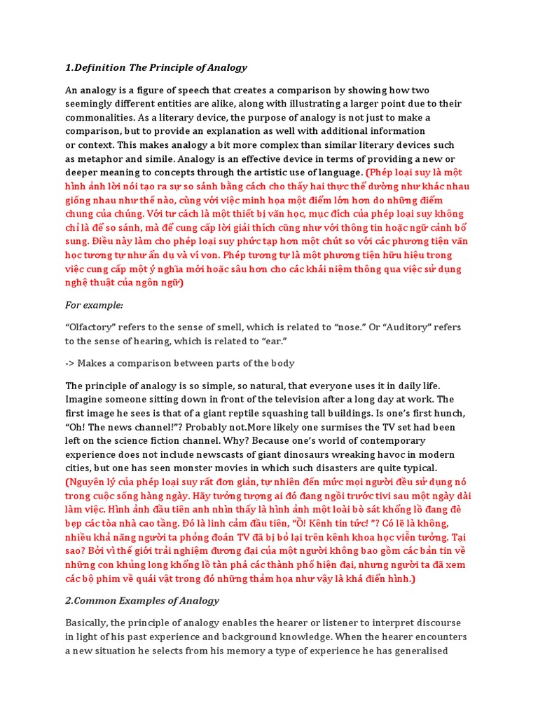 Definition The Principle of Analogy | PDF