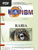 Manual - Rabia en Humano | PDF | Inmunofluorescencia | Rabia