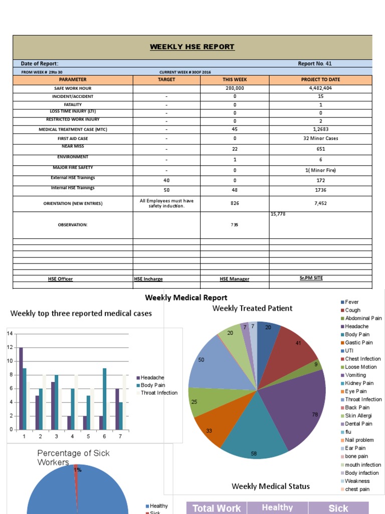 Weekly HSE Report Summary 2016 | PDF