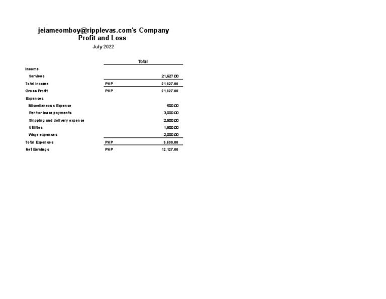 July 2022 Profit and Loss Statement | PDF | Computers