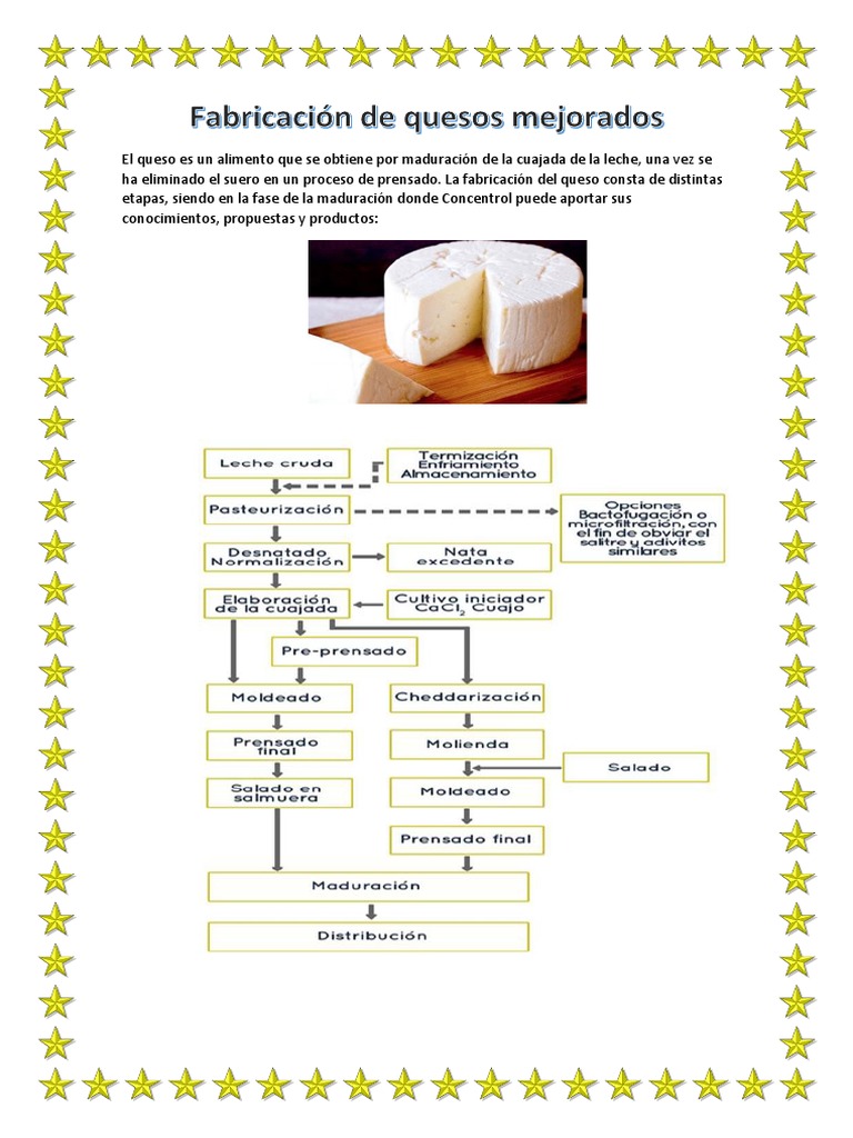 Fabricación de Quesos Exposición | PDF | Leche | Queso